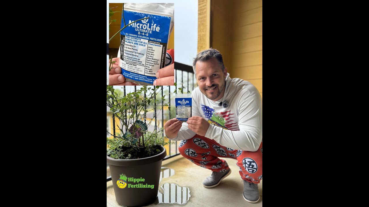 The best was to apply this fertilizer! Micro Life Ultimate 8-4-6 - YouTube