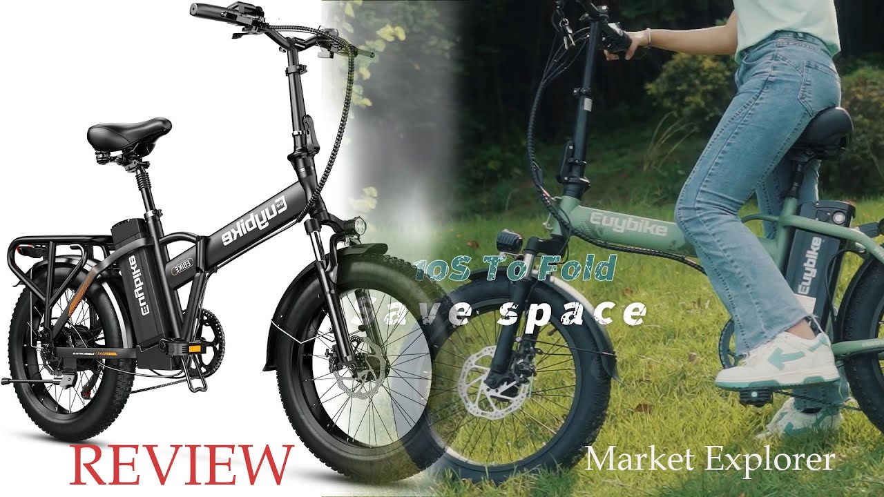 1000W Folding Electric Bike, 48V 20AH Large Removable Battery E Bike ...