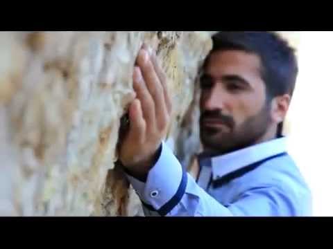 BERZAN SERHAD SORGULAMİN