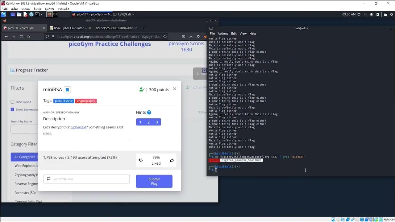 PicoCTF Solution (Thai Language) - What's a net cat?, plumbing, miniRSA - YouTube