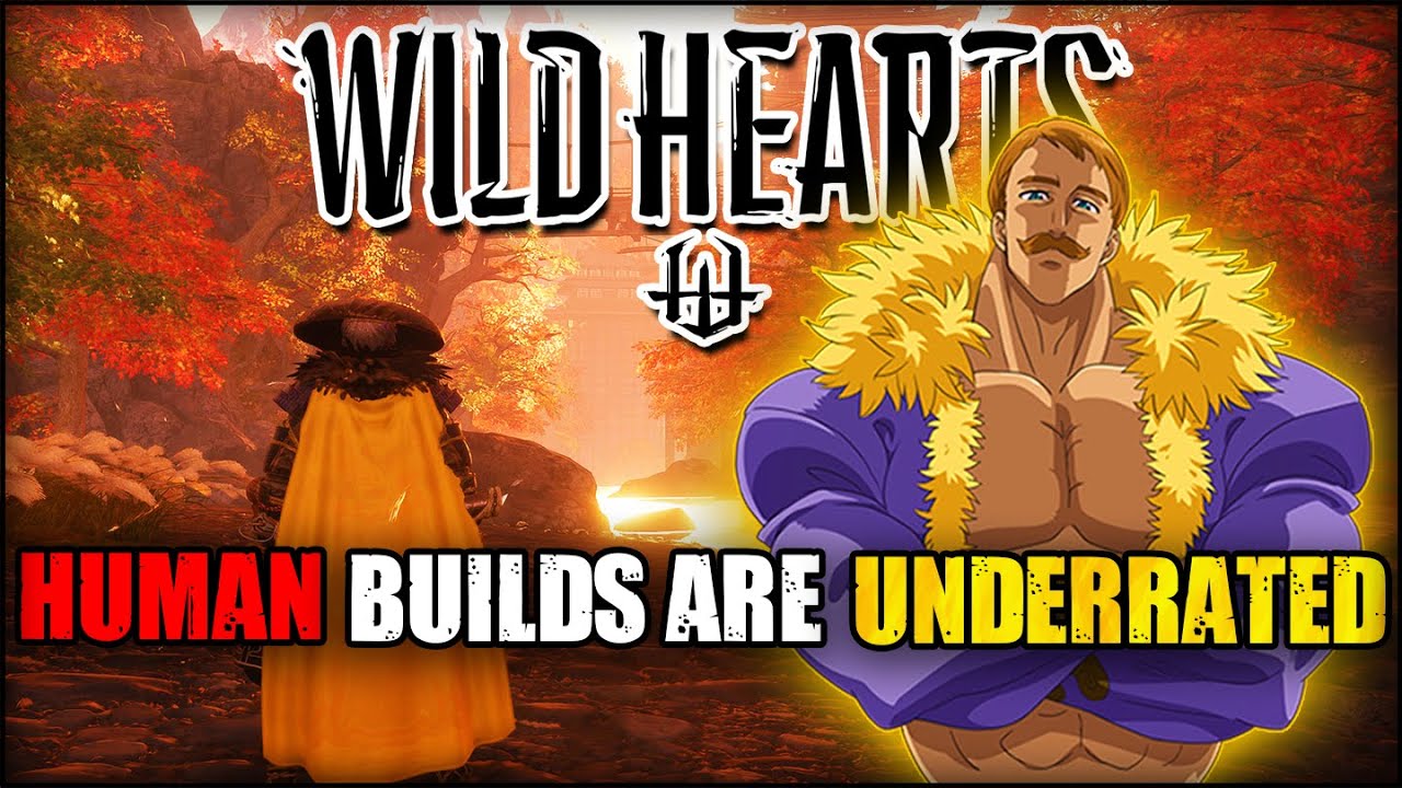 The BEST Pure Human Build For Every Weapon - Super TANKY & Amazing ...