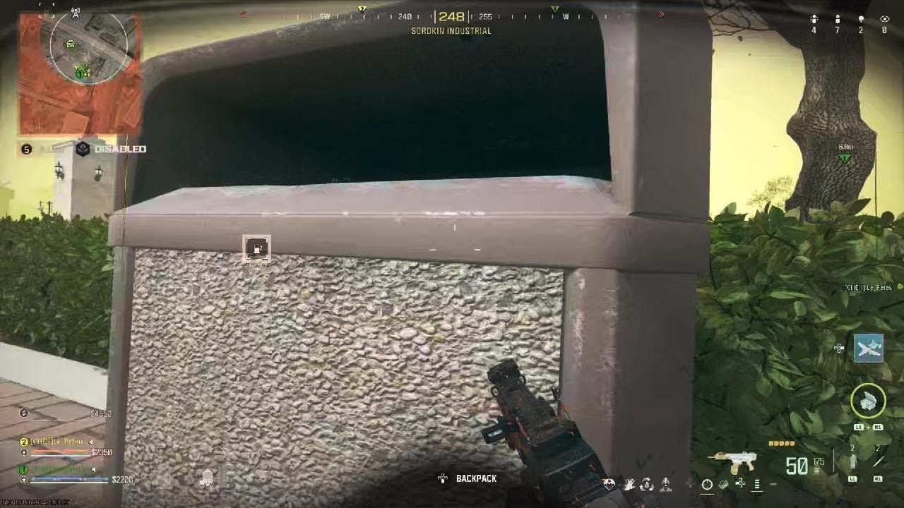 Call of Duty_tir au pigeon vol.1 - YouTube