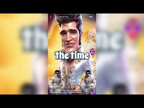 You ain’t nothing but a hound dog - Elvis Presley.