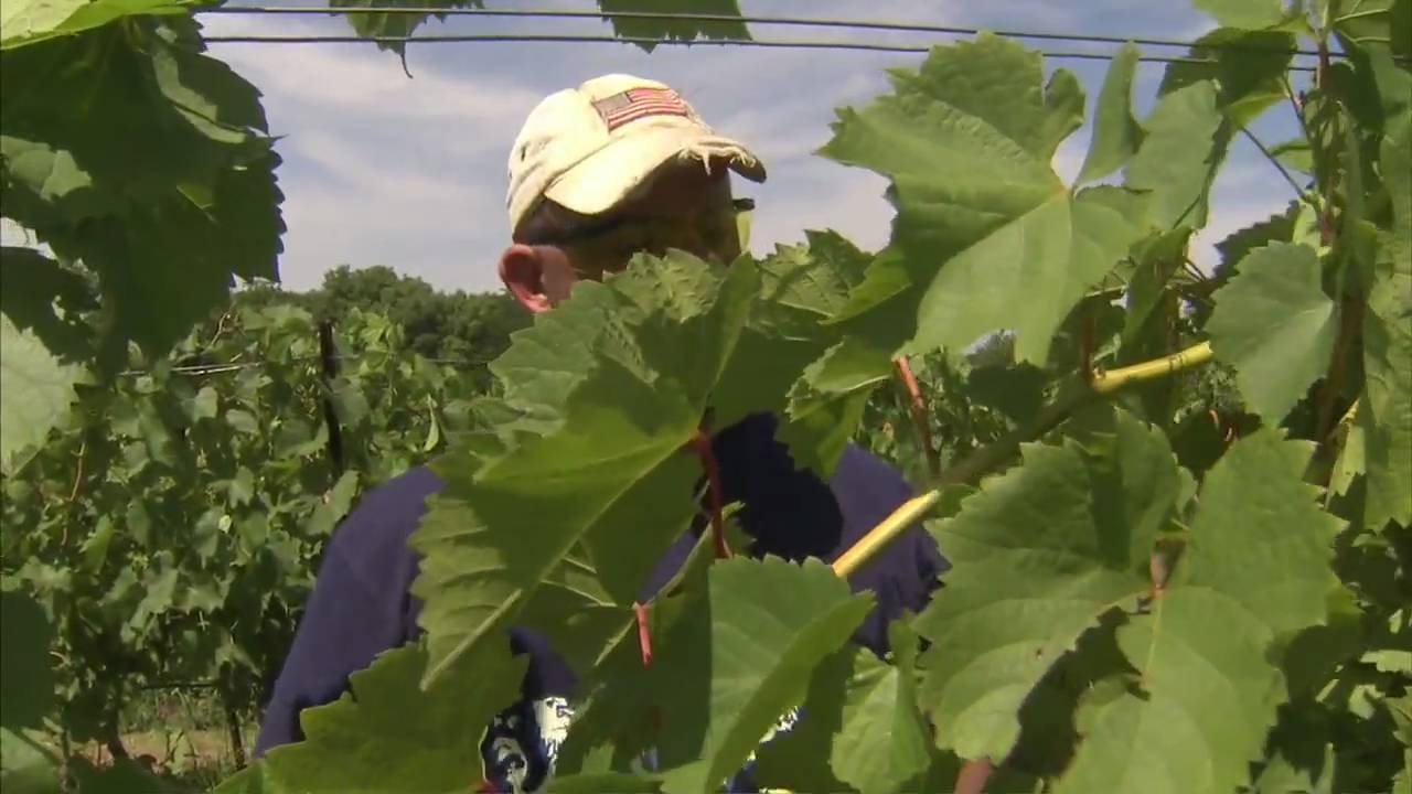 Young Missouri Farmers - America's Heartland - YouTube