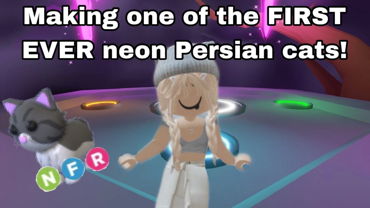 Making one of THE FIRST EVER NEON PERSIAN CAT! - YouTube