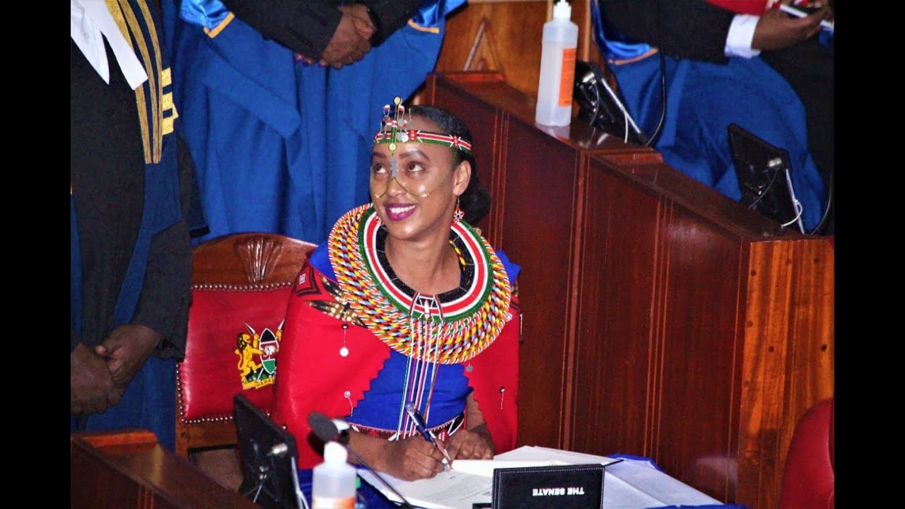 DRAMA In Parliament As Senators Kajwang' And Cheruiyot Nearly Fight ...