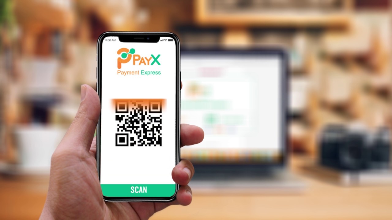 PayX Explainer - YouTube