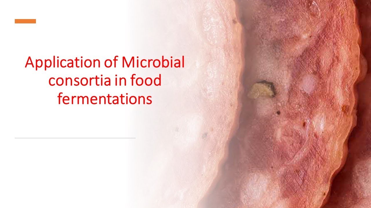 Lecture 16 : Application of microbial consortia in food fermentations ...