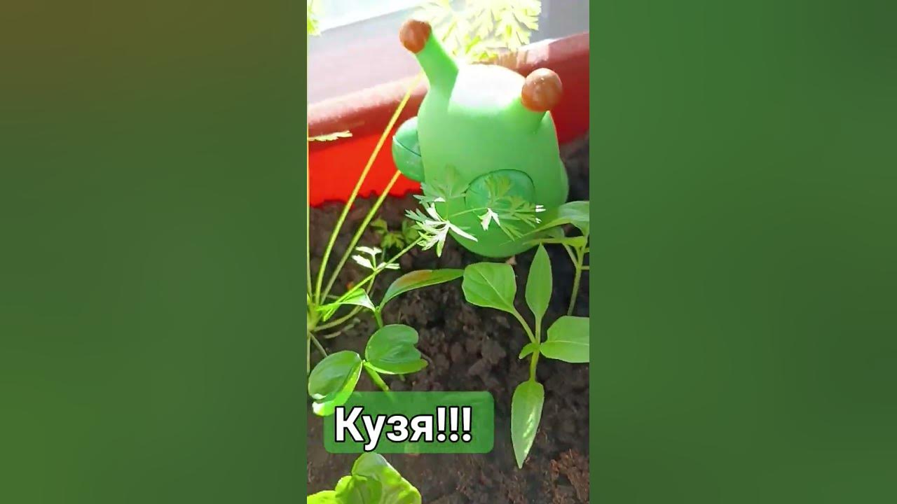 приключение кузи 3 - YouTube