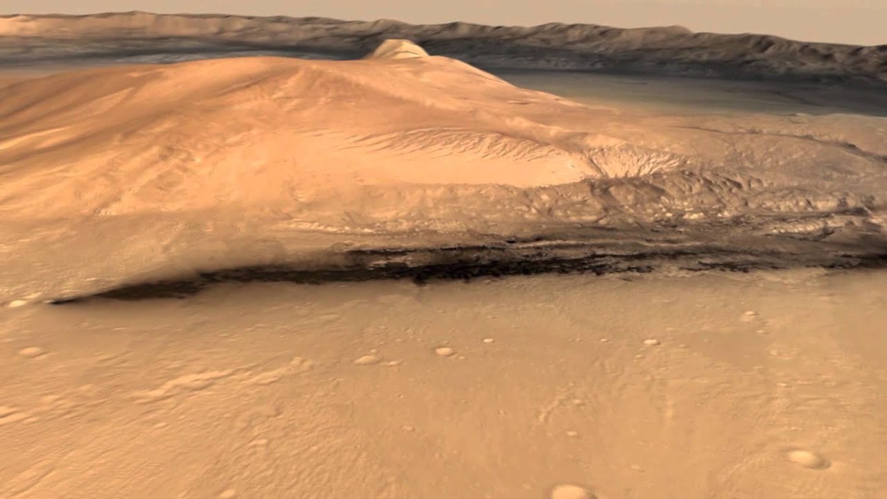 324 Which Trees for Mars? - YouTube