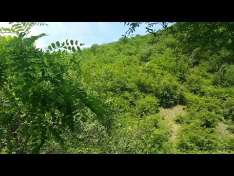 Gürcüstan borcalı mahalı