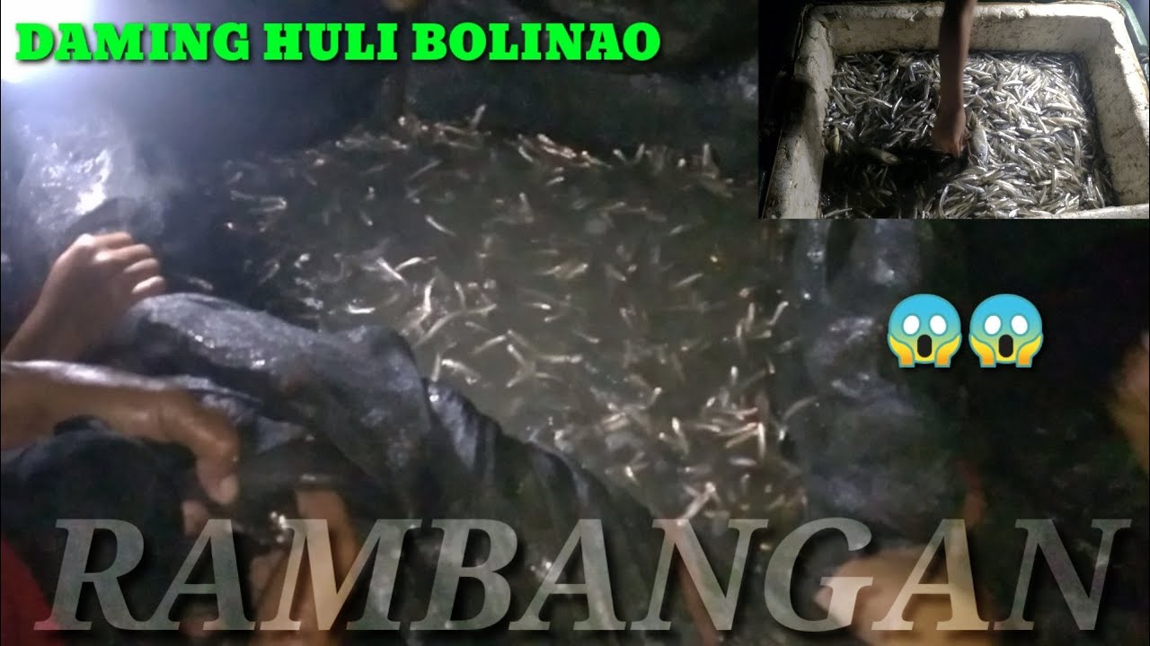 Gabe na natapos, Daming Huling Bolinao, Buhay Isda, Catching Fish ...