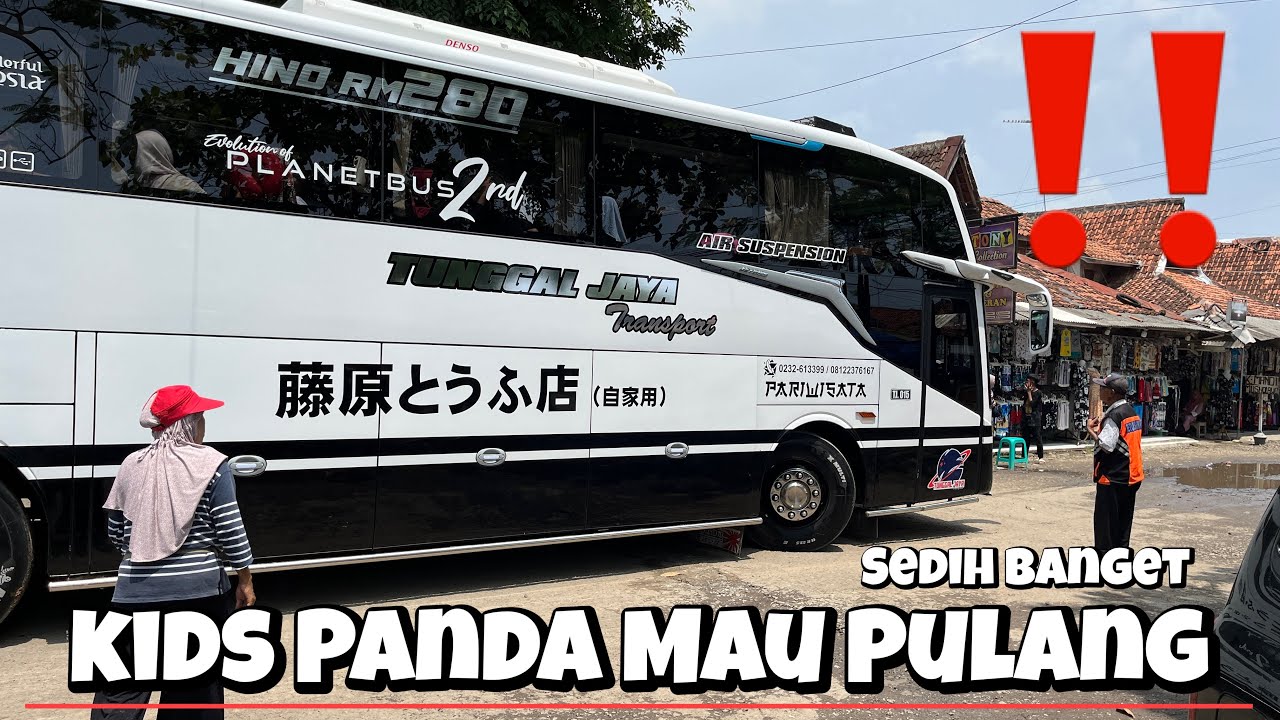 detik detik bus kids panda takumi jetbus 5 siap siap mau pulang ‼️ sayonara bus telolet basuri ...