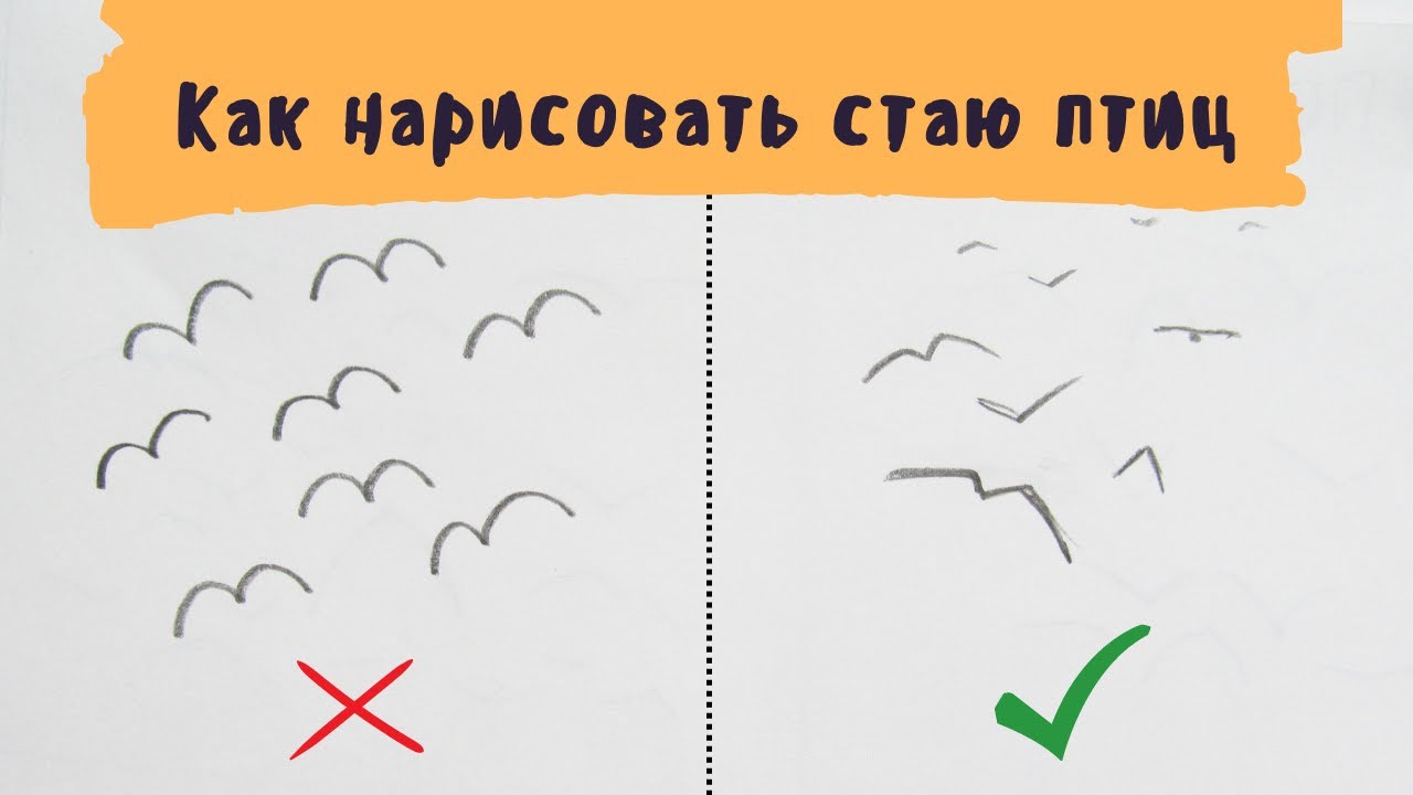 Как нарисовать стаю птиц Youtube