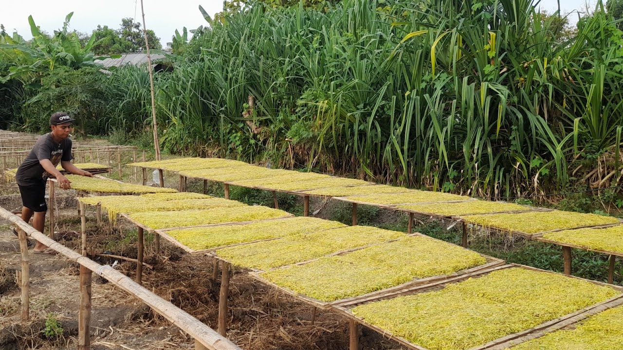 RAJANGAN BENING KELAS A1 - YouTube