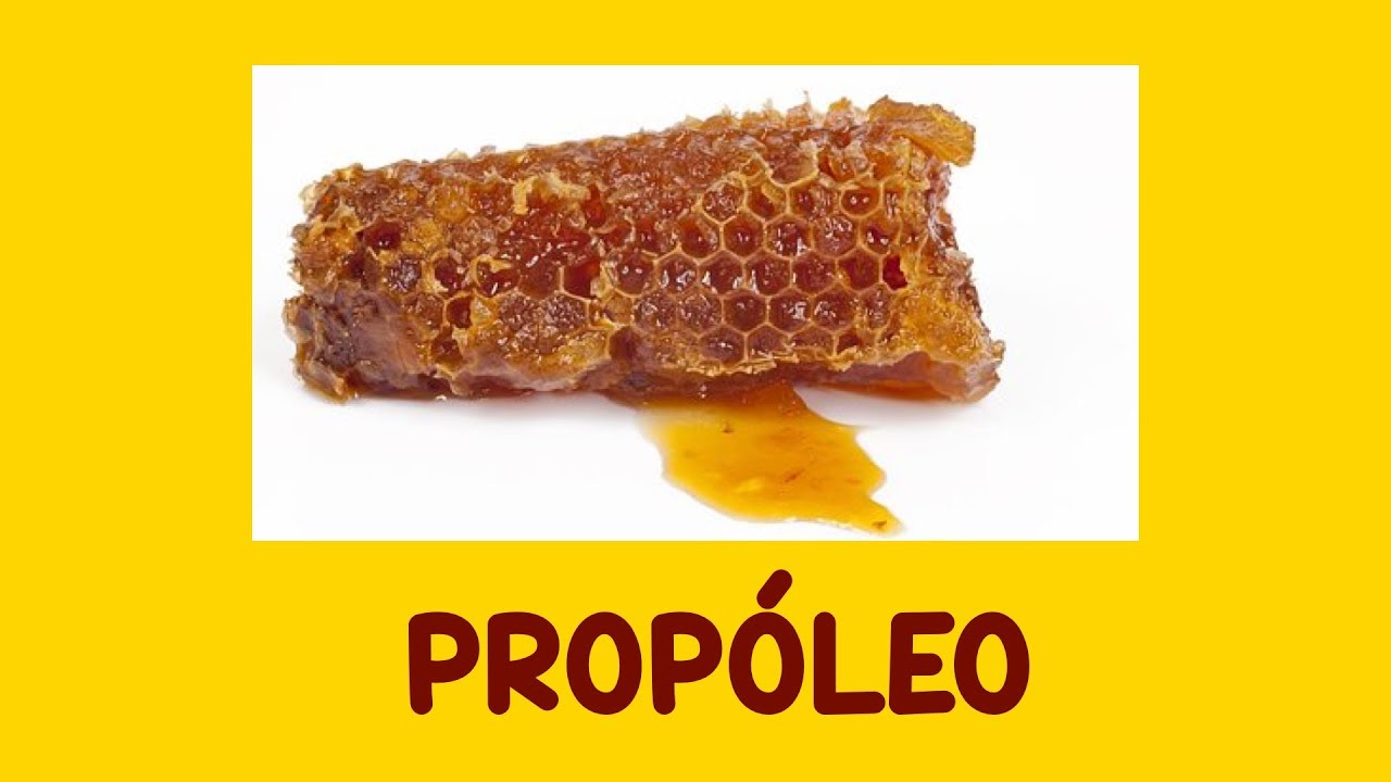 Propóleo: Beneficios, CÓMO TOMAR, Propiedades, Para Qué se usa y ...