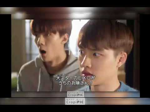 Exo Next Door / EGO