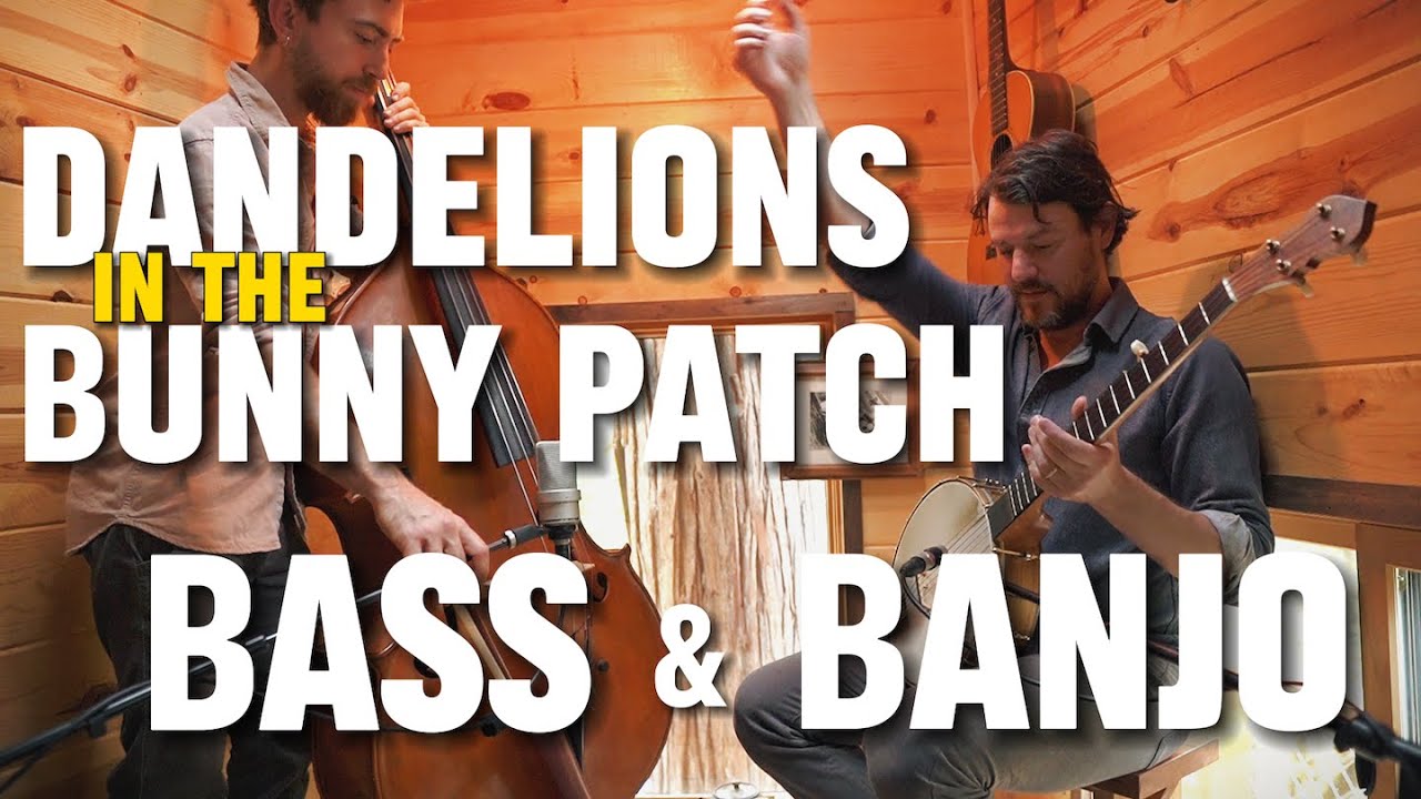 An original modal tune ... Dandelions in the Bunny Patch - YouTube