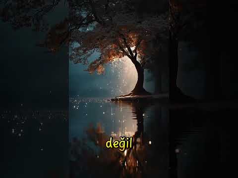 Murat İ̇nce Saat 12ye beş var #duygusalşiir #sevgiliyehediye #huseyinokul #şiir #duygusalvideolar