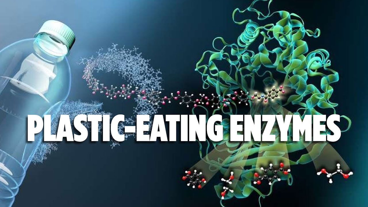 Plastic-Eating Enzymes: A Revolutionary Solution for Plastic Waste ...
