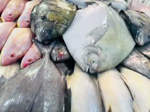 350 Variety fish available!! Sagar Fish belathur Kadugodi #viralvideo # ...