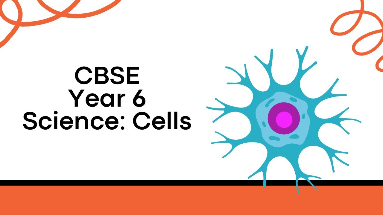 CBSE || Year 6 || Science: Cells - YouTube