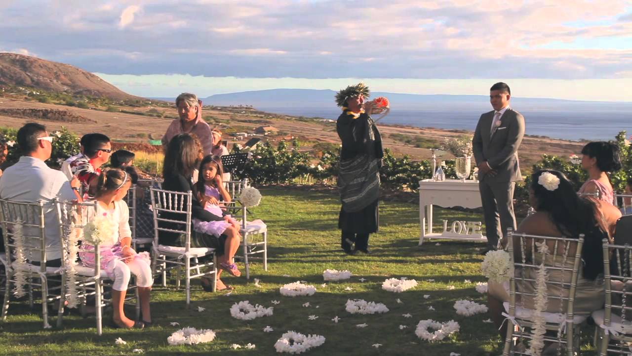 Michael Shaoul Wedding