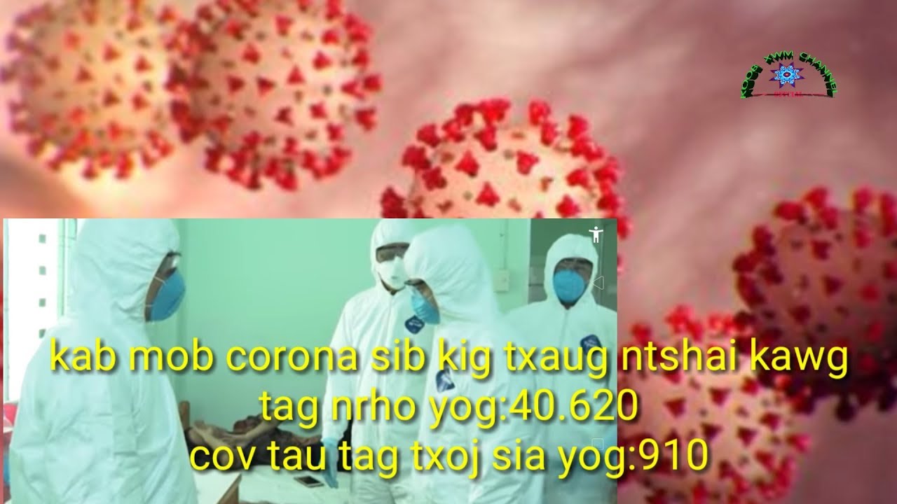 Xov xwm "corona" sib kig txaug ntshai kawg 11/2/2020 - YouTube