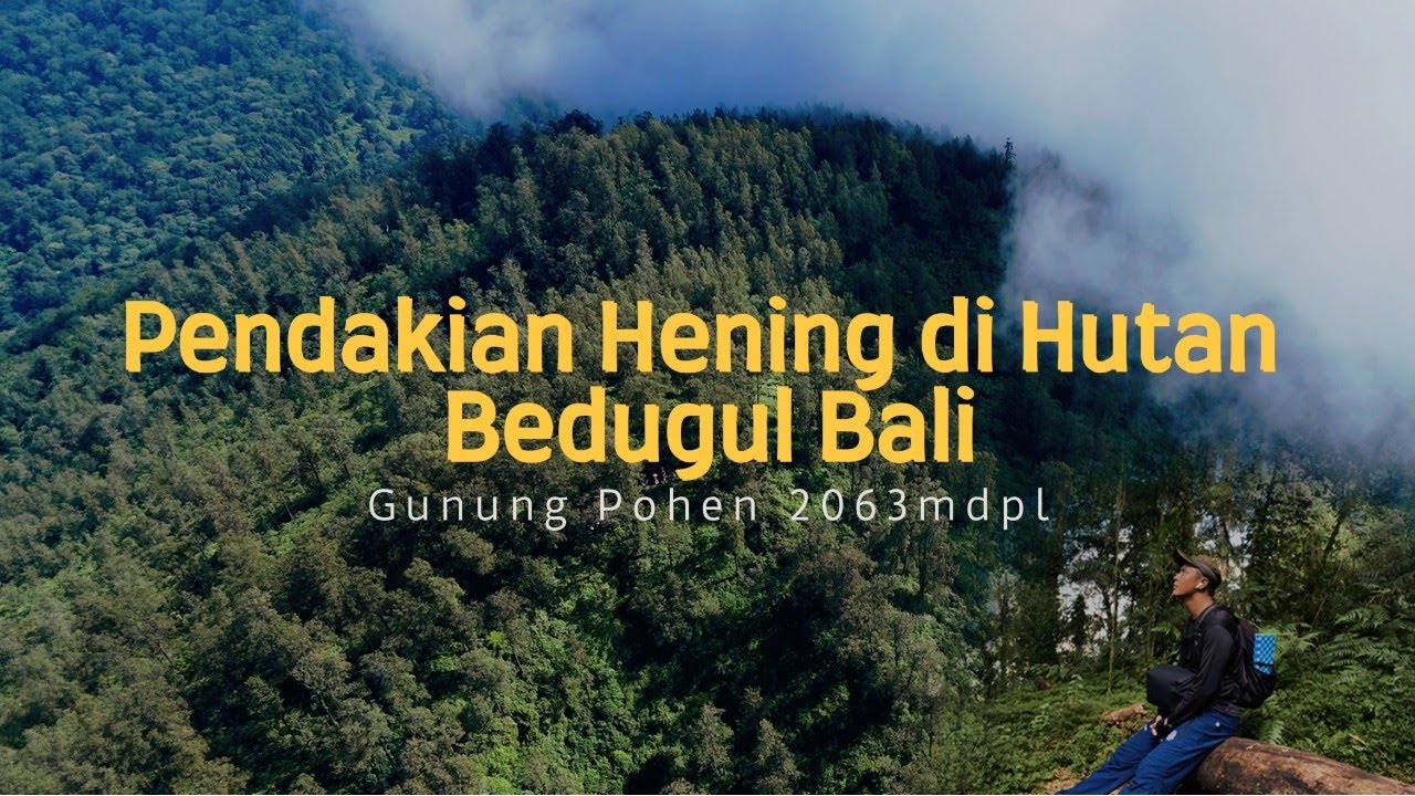 Pendakian Hening di Hutan Bedugul Bali | Gunung Pohen 2063mdpl - YouTube