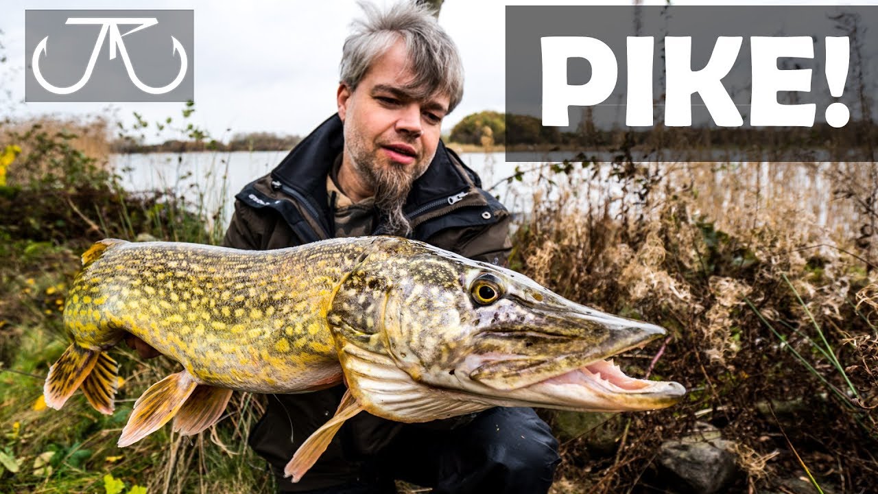 Angeln: Hechtangeln deadbaiting Monster-Pike Blinker Film - YouTube