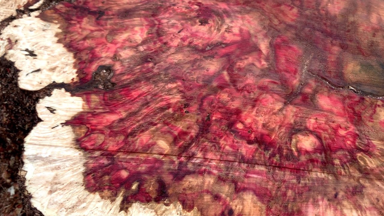 Blood Tree - YouTube