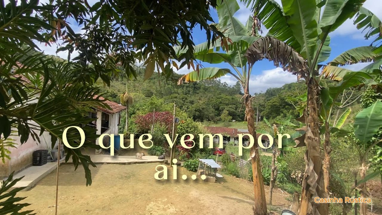 Muitas novidades no sitio - Construindo do zero - YouTube