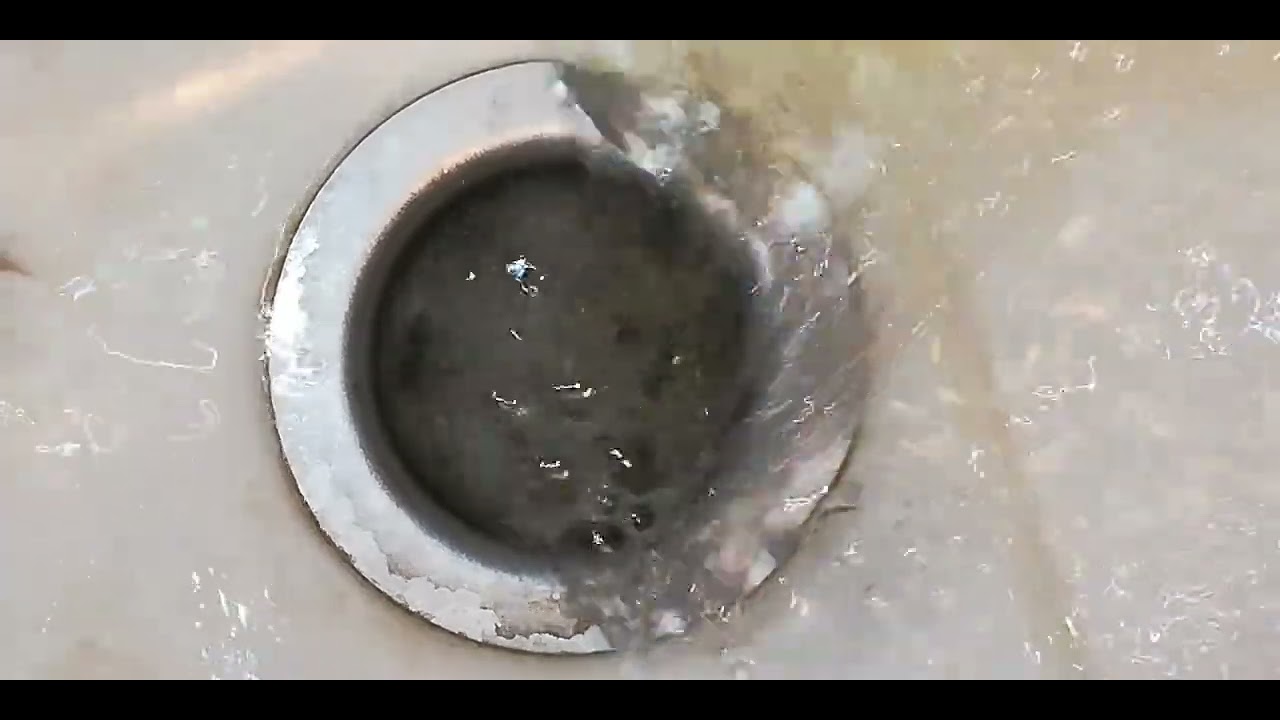 Streamsoftime - Expert-maggotologist: NHS uses maggots on wounds to ...