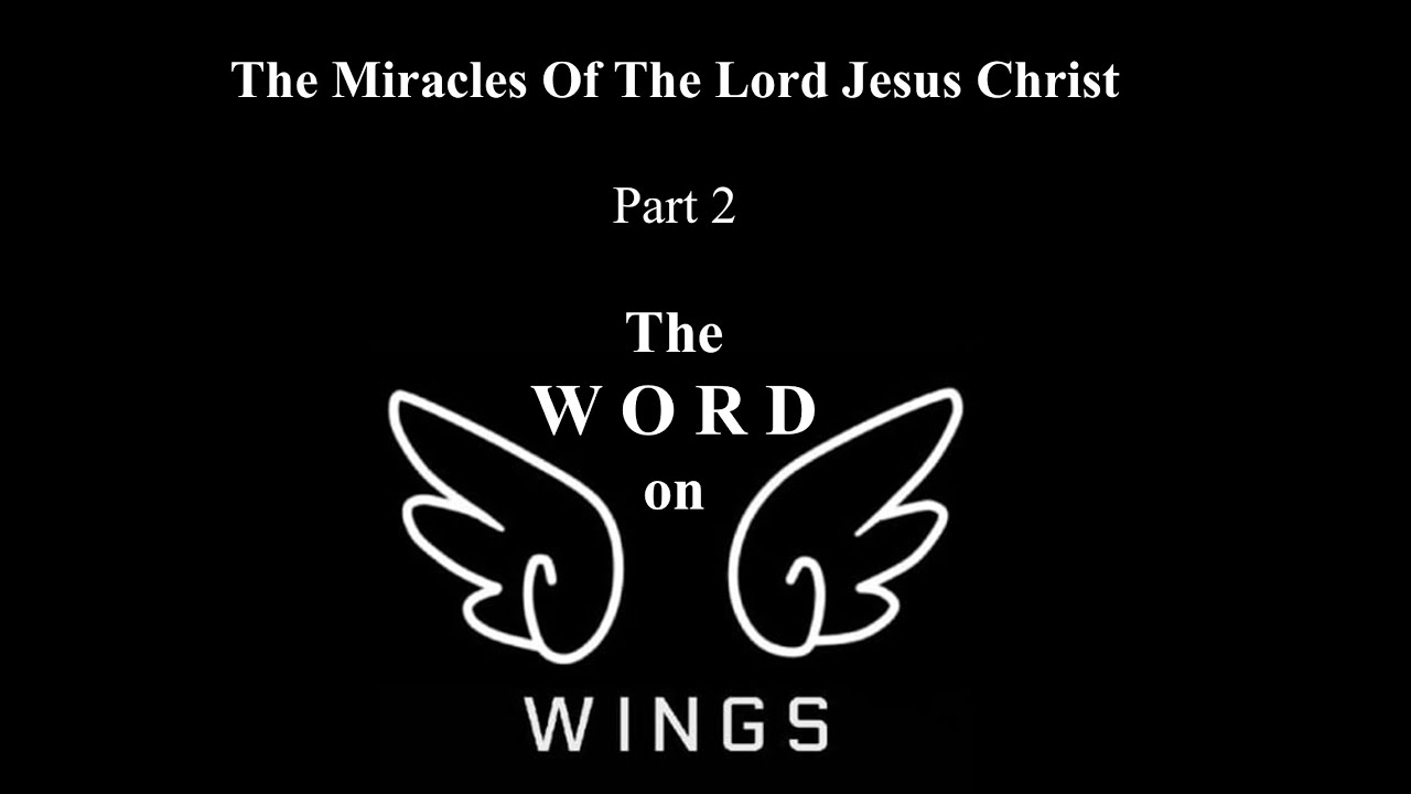 Sun 10:30 | Chris Reed | The Word On Wings | Part 2 - Miracles of Jesus ...