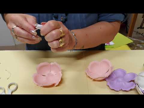 Tutorial Camelia - YouTube