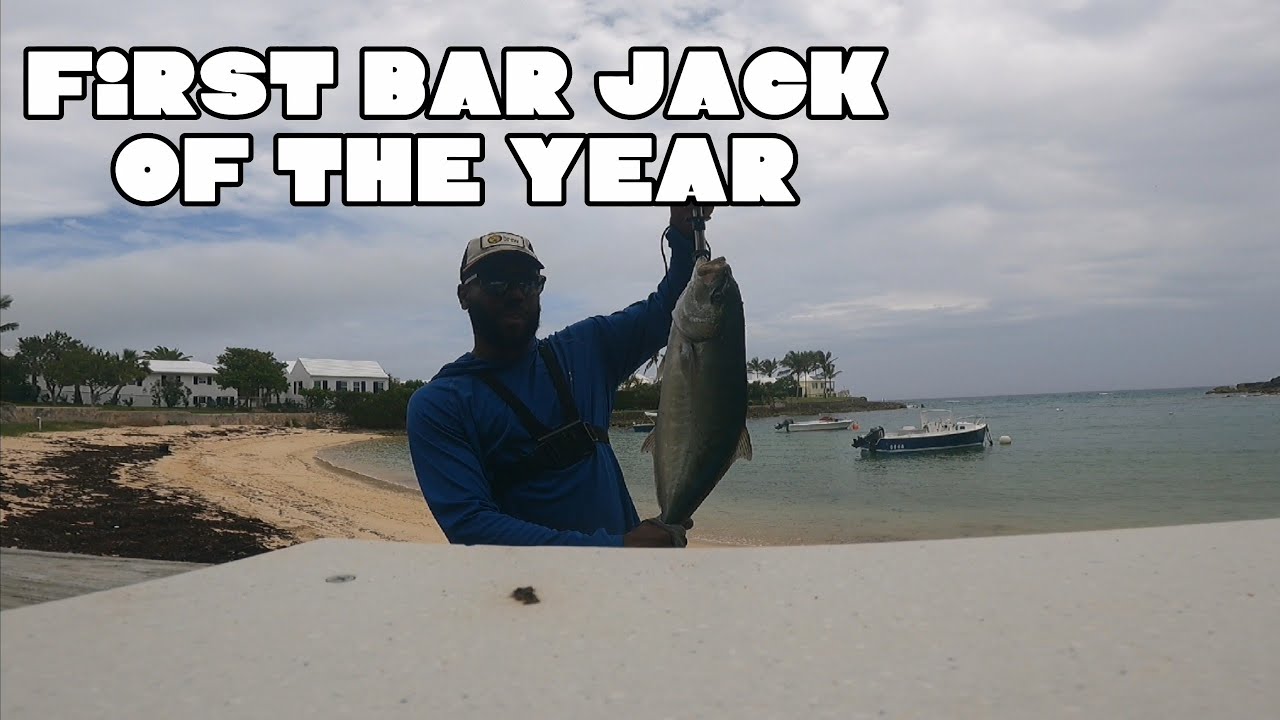 PB bar jack and more | LURE FISHING BERMUDA - YouTube