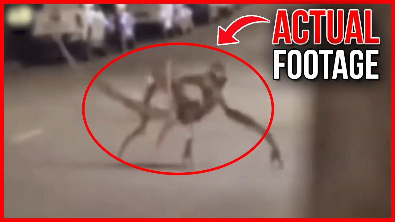 What A Camera Captured In Ohio Shocked The Whole World | Caught on Cam ...