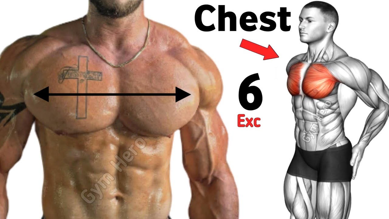 6 Bigger Chest Exercises At Gym - Chest Workout - YouTube
