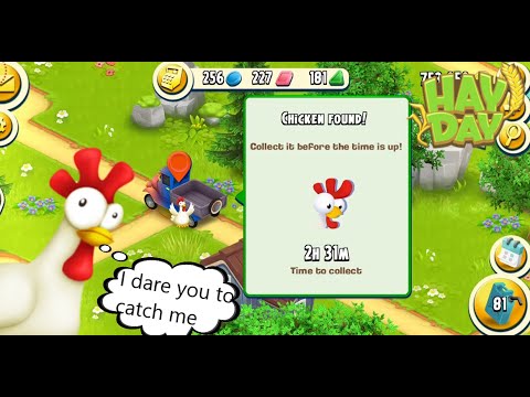 Hay Day Chicken Valley | How to Catch Chickens in Valley (Tutorial ...