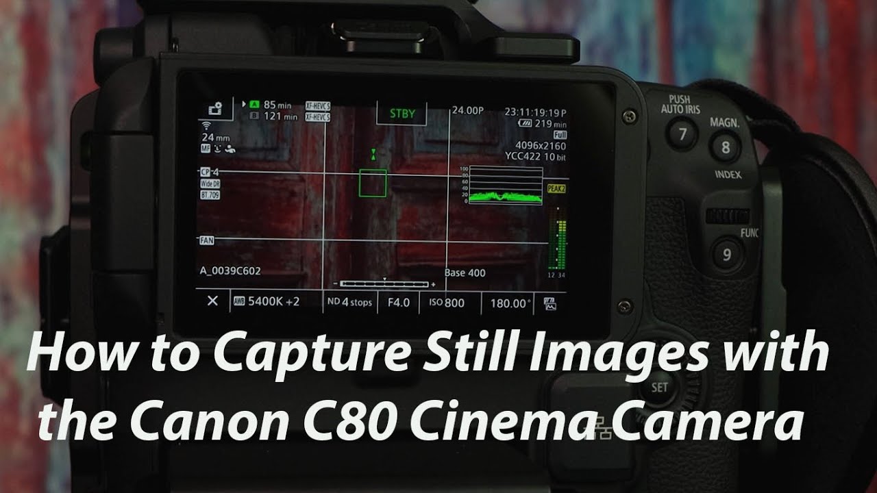 How to Capture Still Images with the Canon C80 Cinema Camera - YouTube