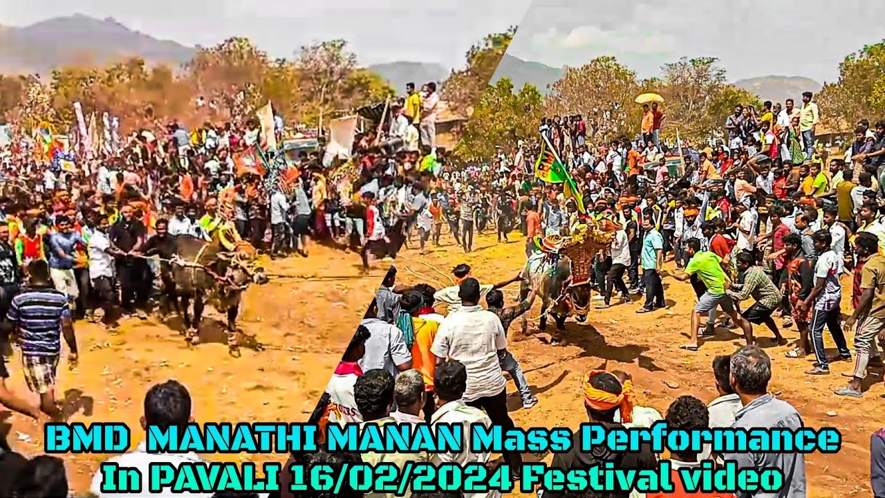 😈BMD💥MANATHI🔥MANAN😈 Mass Performance In PAVALI 16/02/2024 Festival ...