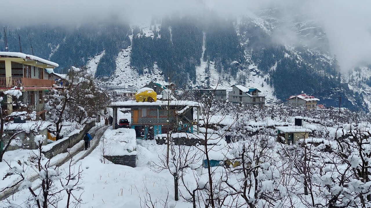 Manali Live weather snowfall #manali #manalisnowfall - YouTube