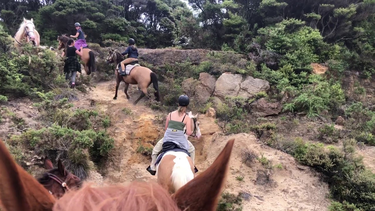 Horse trekking Ahipara Gumfields - YouTube