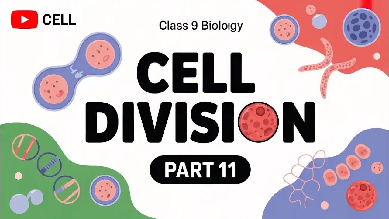 Cell Organelles: Cell Division - The Fundamental Unit Of Life l Class 9 ...