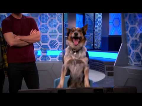 Laboratuvar Fareleri - Parti Delisi