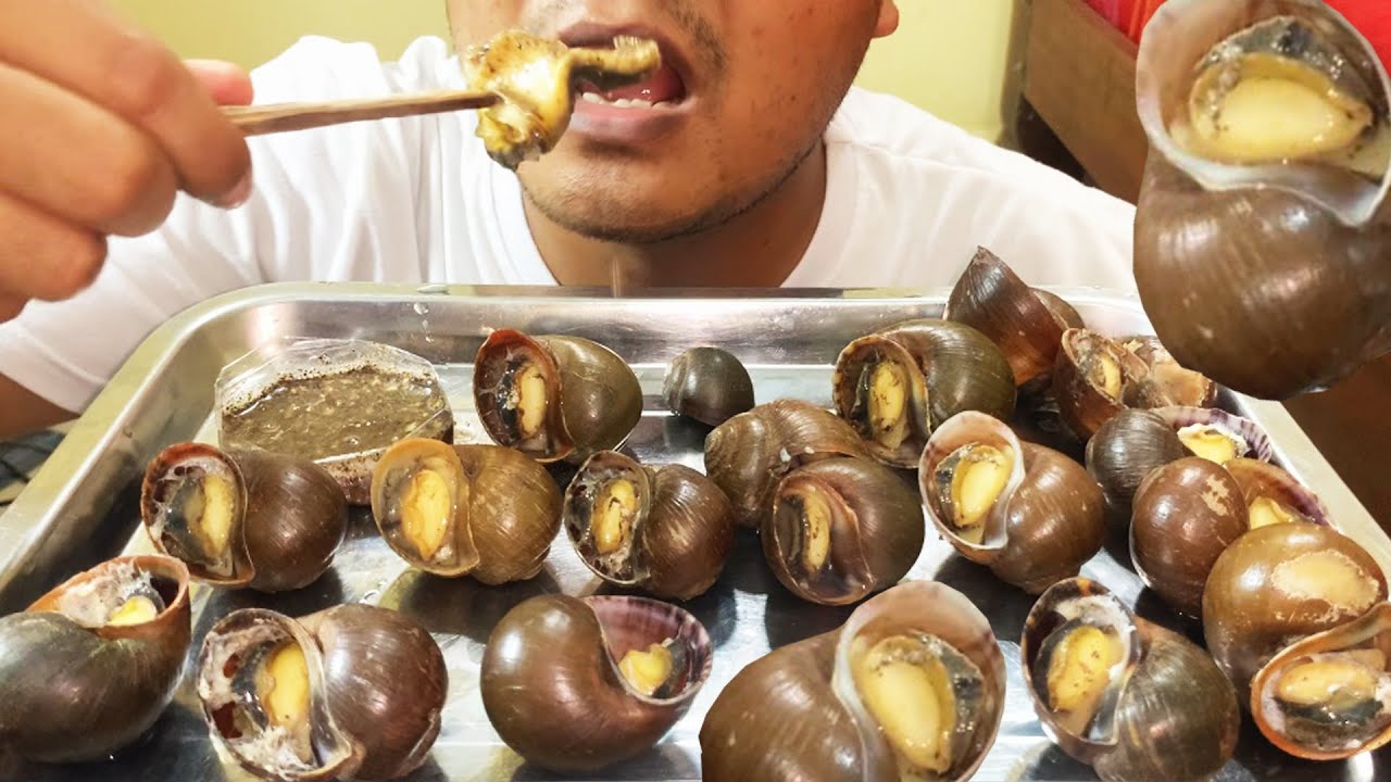 mukbang snails delicious | asmr mukbang eating sounds no taking - YouTube