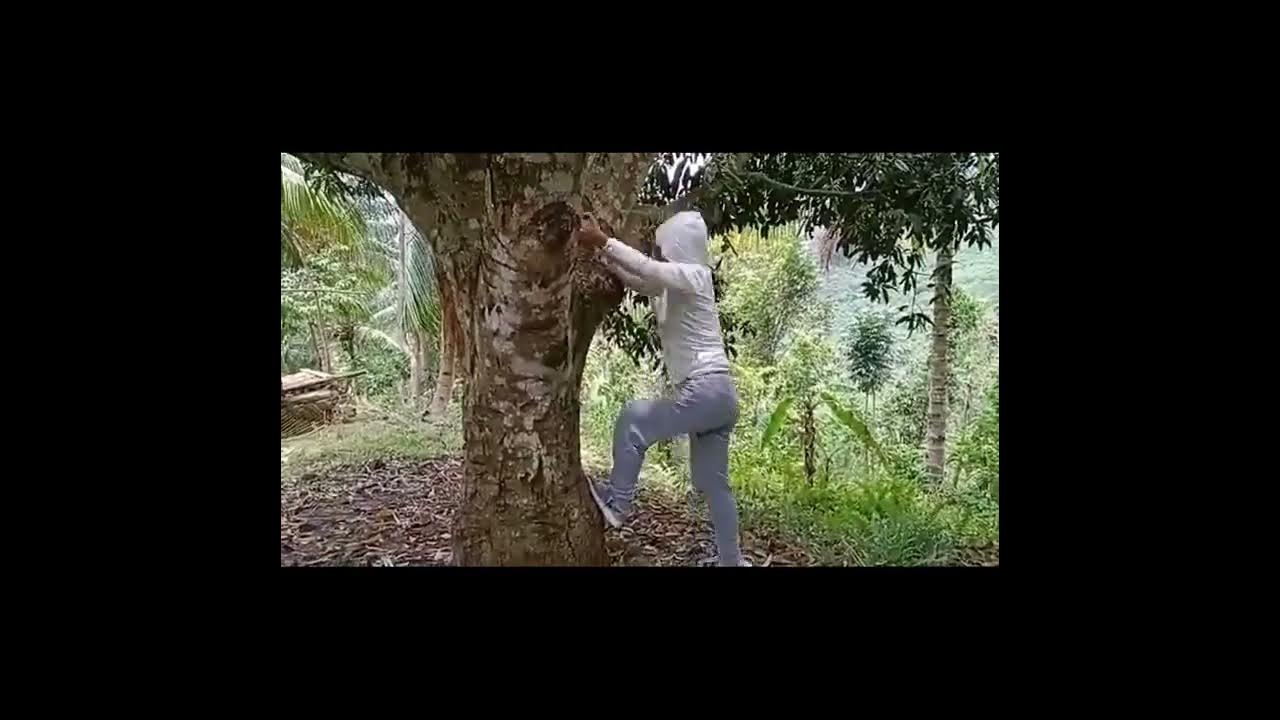 Akyat puno/Ynah - YouTube