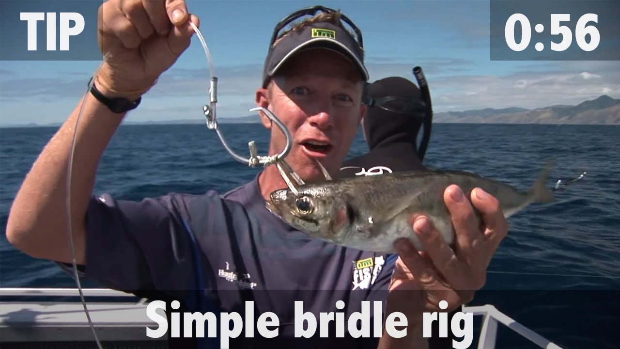 SIMPLE BRIDLE RIG - YouTube