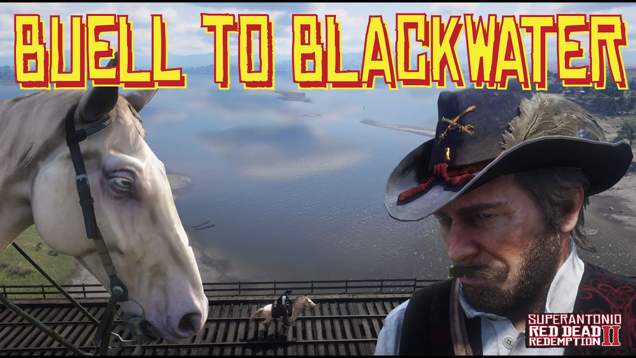 Horseman 9 With Buell, The Cremello Gold Dutch Warmblood in Real Time ...