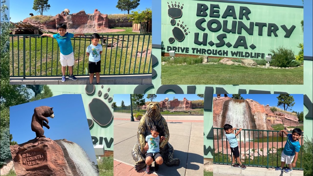 Bear country USA | Rapid City | South Dakota - YouTube